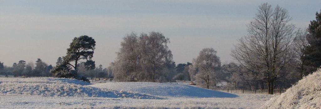 Wuffings – Sam Newton's Wuffings' Website